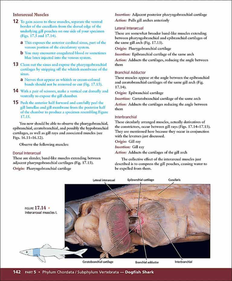 Comparative Anatomy: Manual of Vertebrate Dissection, 3e - Morton ...