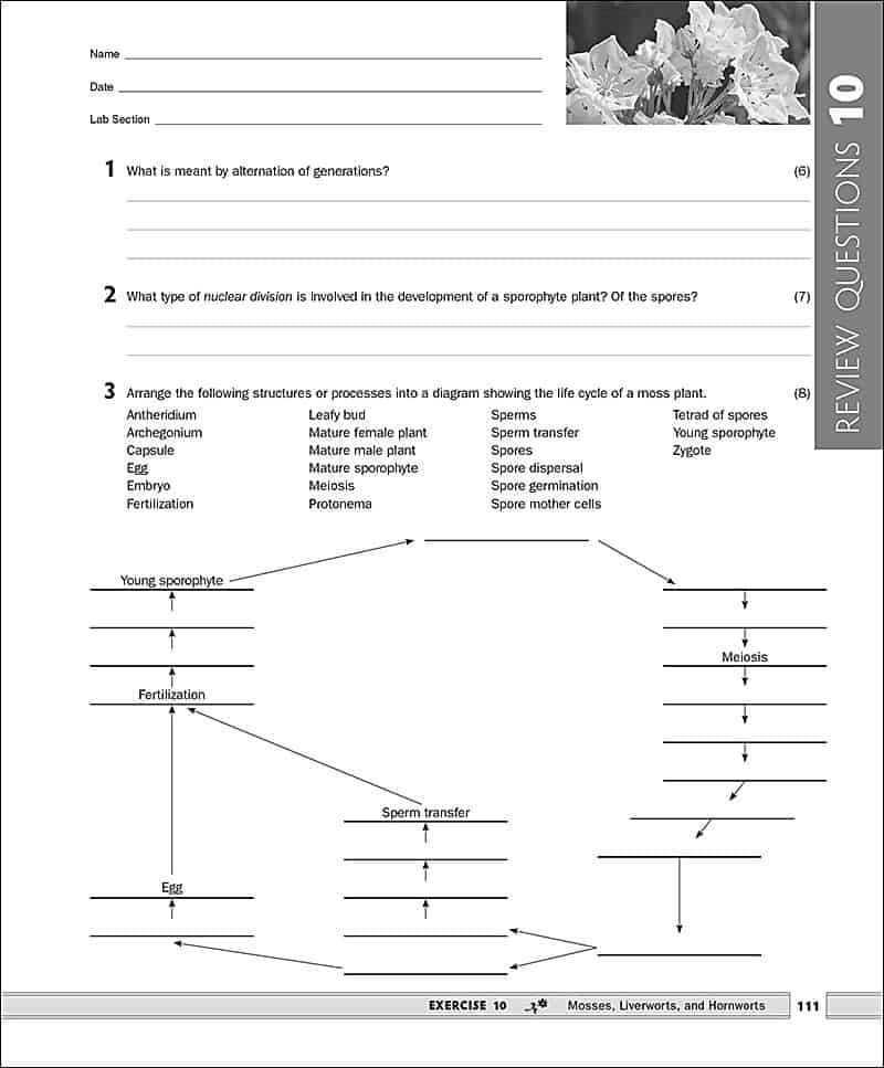 Exercises for the Botany Laboratory, 2e - Morton Publishing