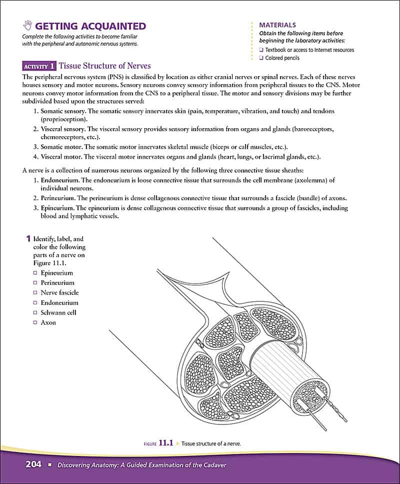 Discovering Anatomy: A Guided Examination of the Cadaver - Morton ...