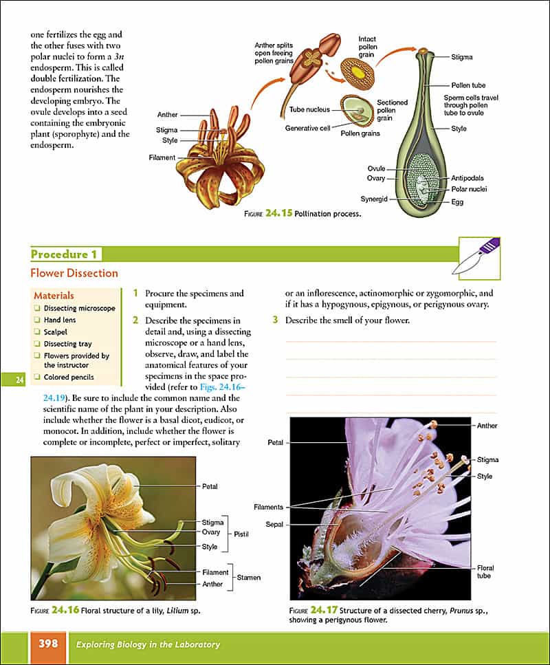 Exploring Biology in the Laboratory, 3e - Morton Publishing