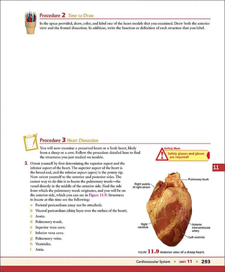 Exploring Anatomy & Physiology In The Laboratory 4th Edition Exploring Anatomy & Physiology In The Laboratory 4th Edition