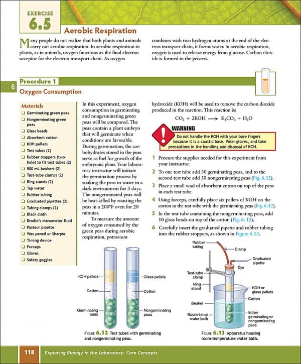 Exploring Biology in the Laboratory: Core Concepts, 2e - Morton Publishing