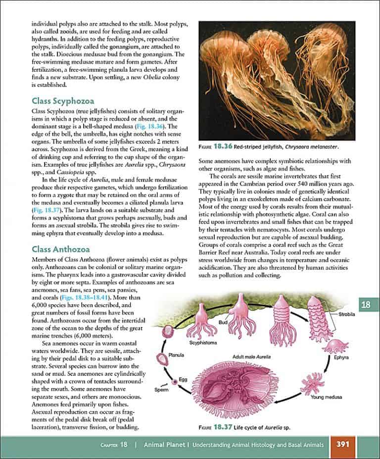 Exploring Biology in the Laboratory: Core Concepts, 2e - Morton Publishing