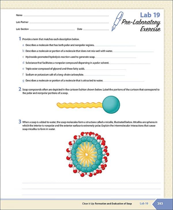 Exercises for the General, Organic, & Biochemistry Laboratory, 2e ...