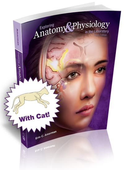 Anatomy & Physiology - Morton Publishing