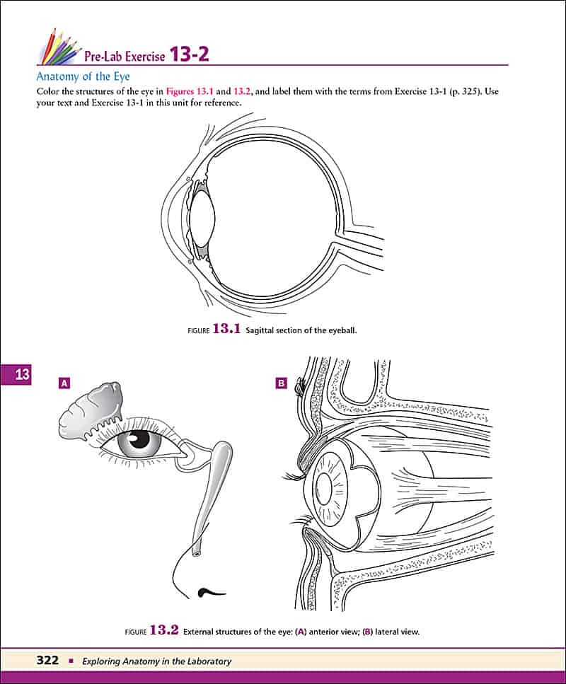 Exploring Anatomy in the Laboratory, 2e - Morton Publishing