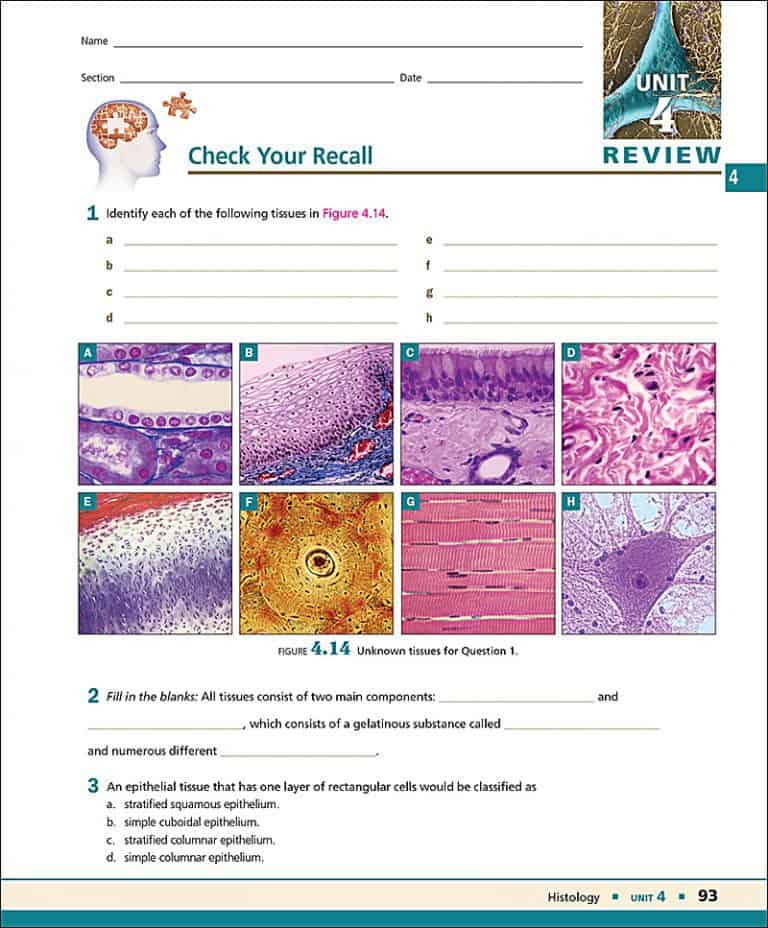 Exploring Anatomy in the Laboratory, 2e - Morton Publishing