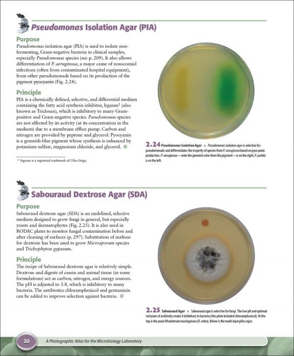 A Photographic Atlas for the Microbiology Laboratory, 5e - Morton ...