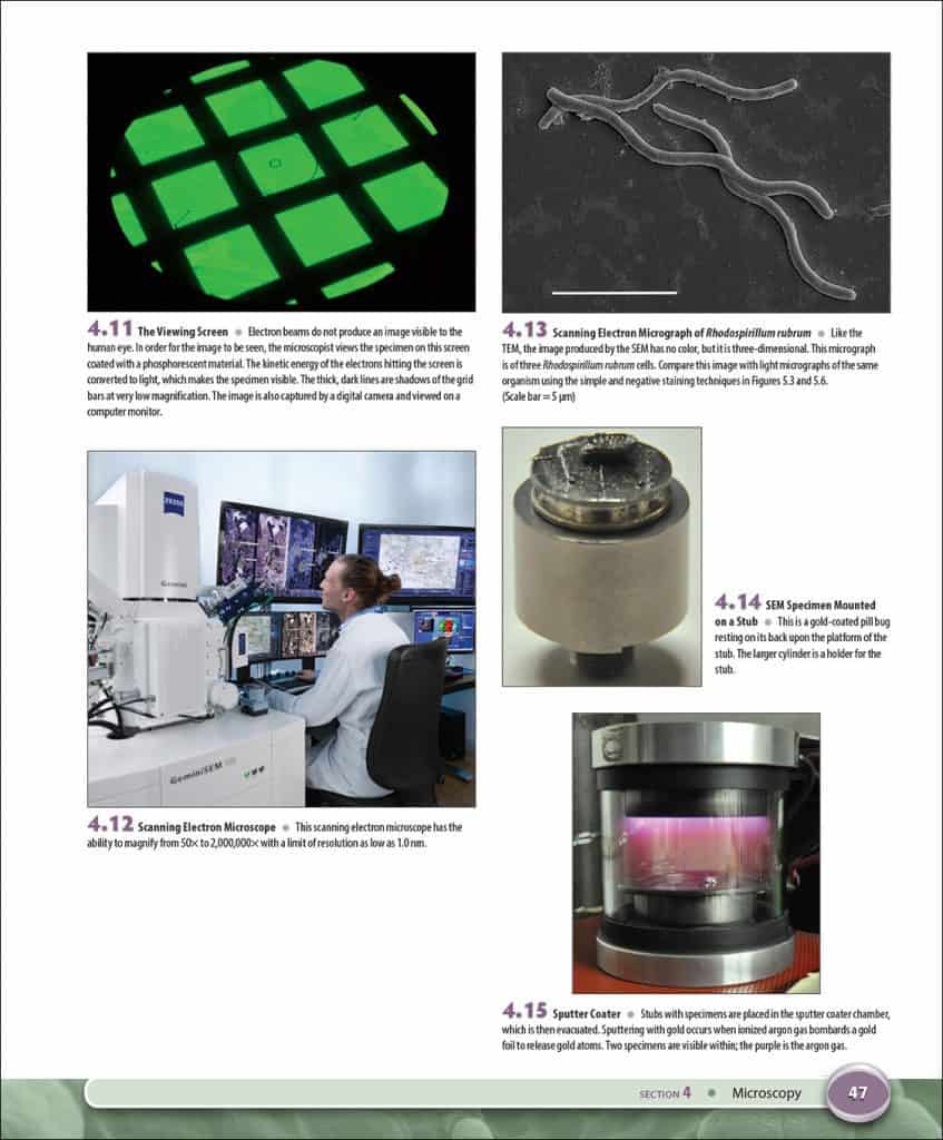 A Photographic Atlas for the Microbiology Laboratory, 5e - Morton ...